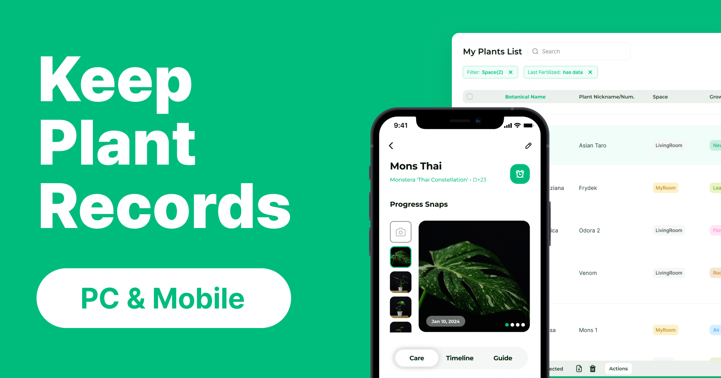 How to grow and care for Sequoia sempervirens (D.Don) Endl.